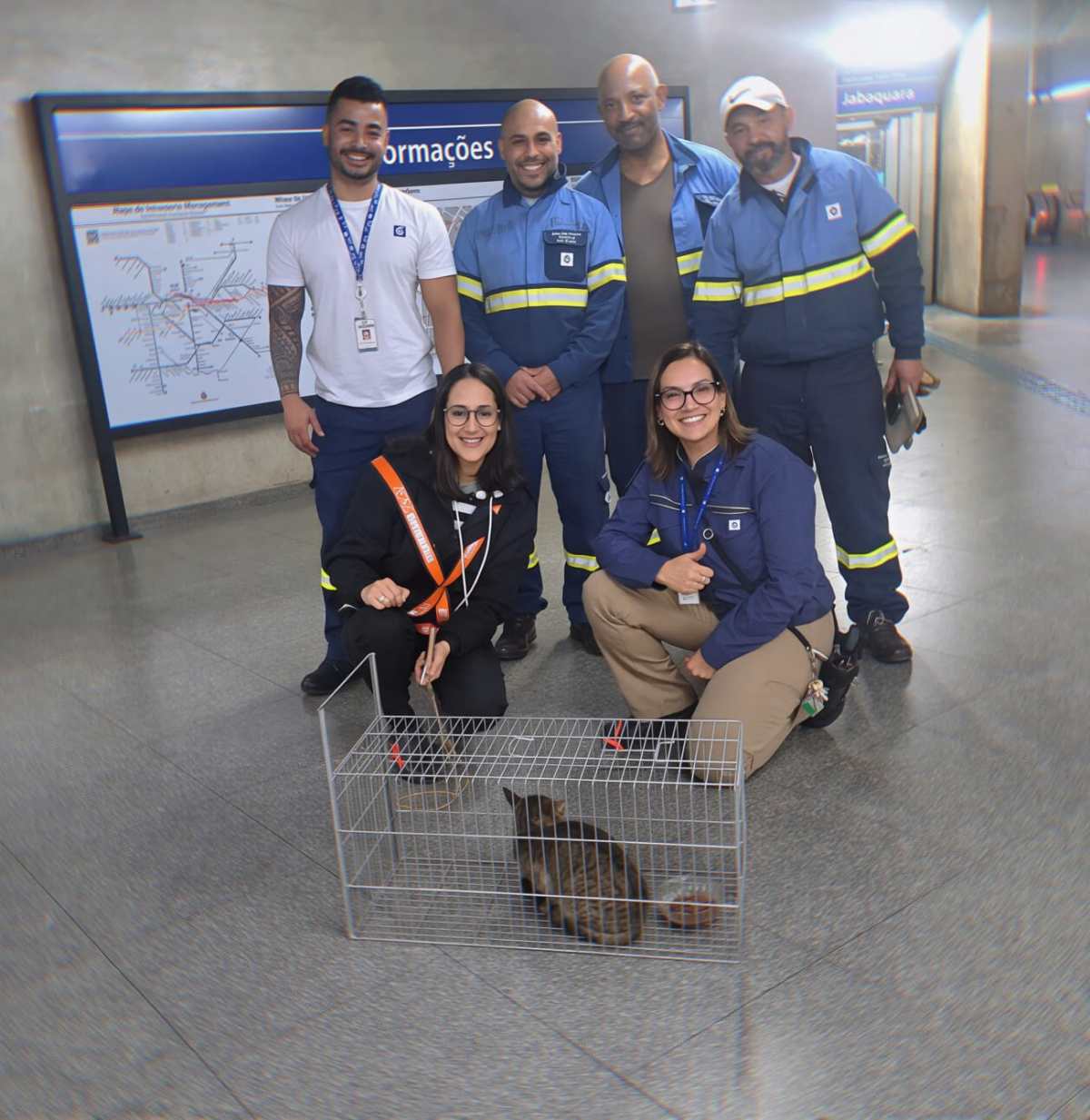 Funcionários do Metrô resgatam gato na estação Vergueiro